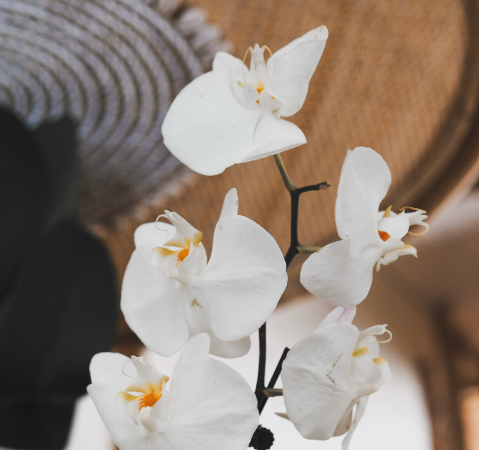 Hei Flora – Flora Shop